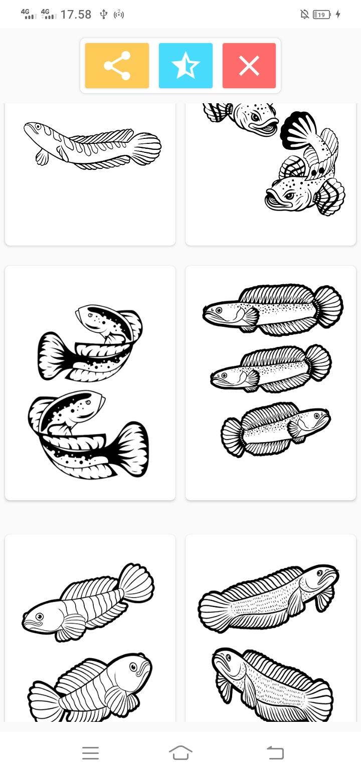 Coloring Ikan Channa Snakehead Android/iOS - TapTap