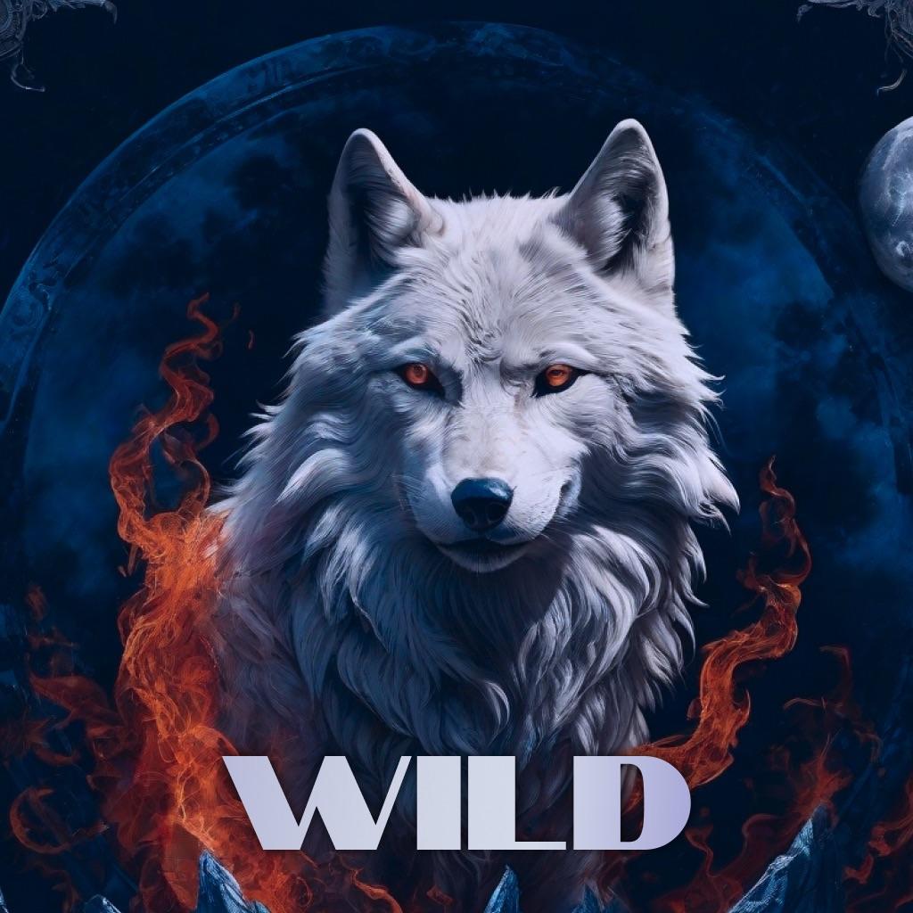 Lucky Wolf Latest Version for Android/iOS APK - TapTap