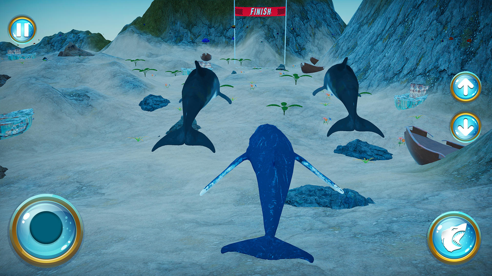 Download Humpback Whale Life Simulator 1.0 for Android/iOS APK - TapTap
