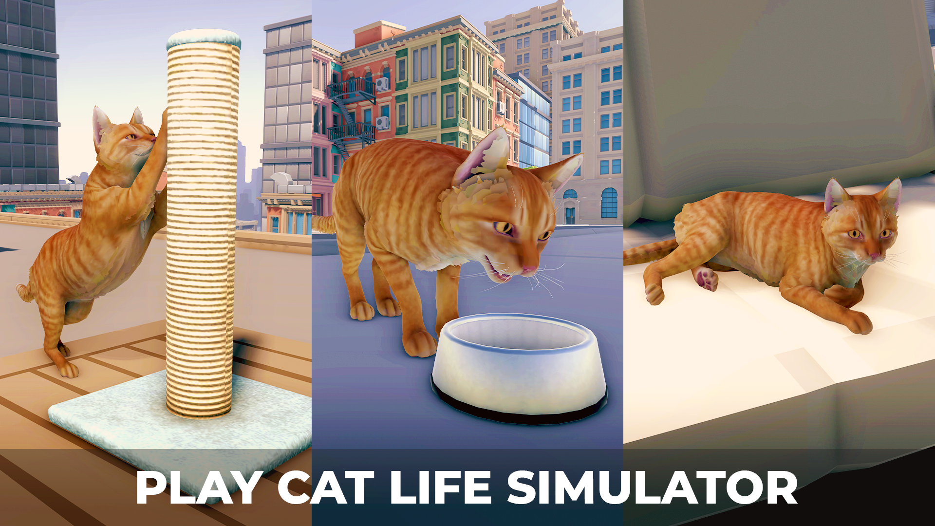 Cats Game - Survival Simulator android iOS apk download for free-TapTap