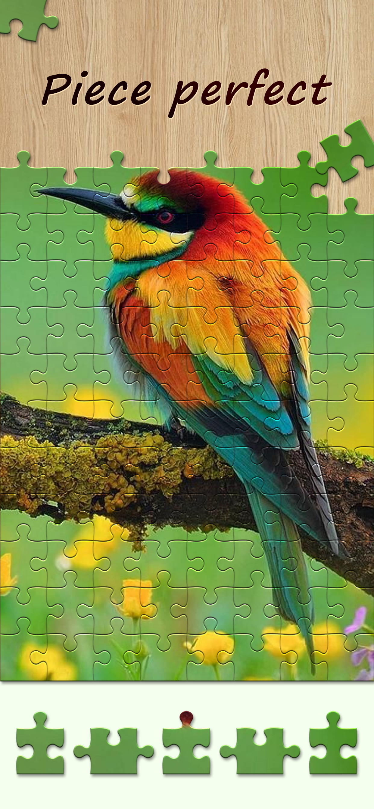 Daily Jigsaw:HD Puzzle game android iOS apk download for free-TapTap