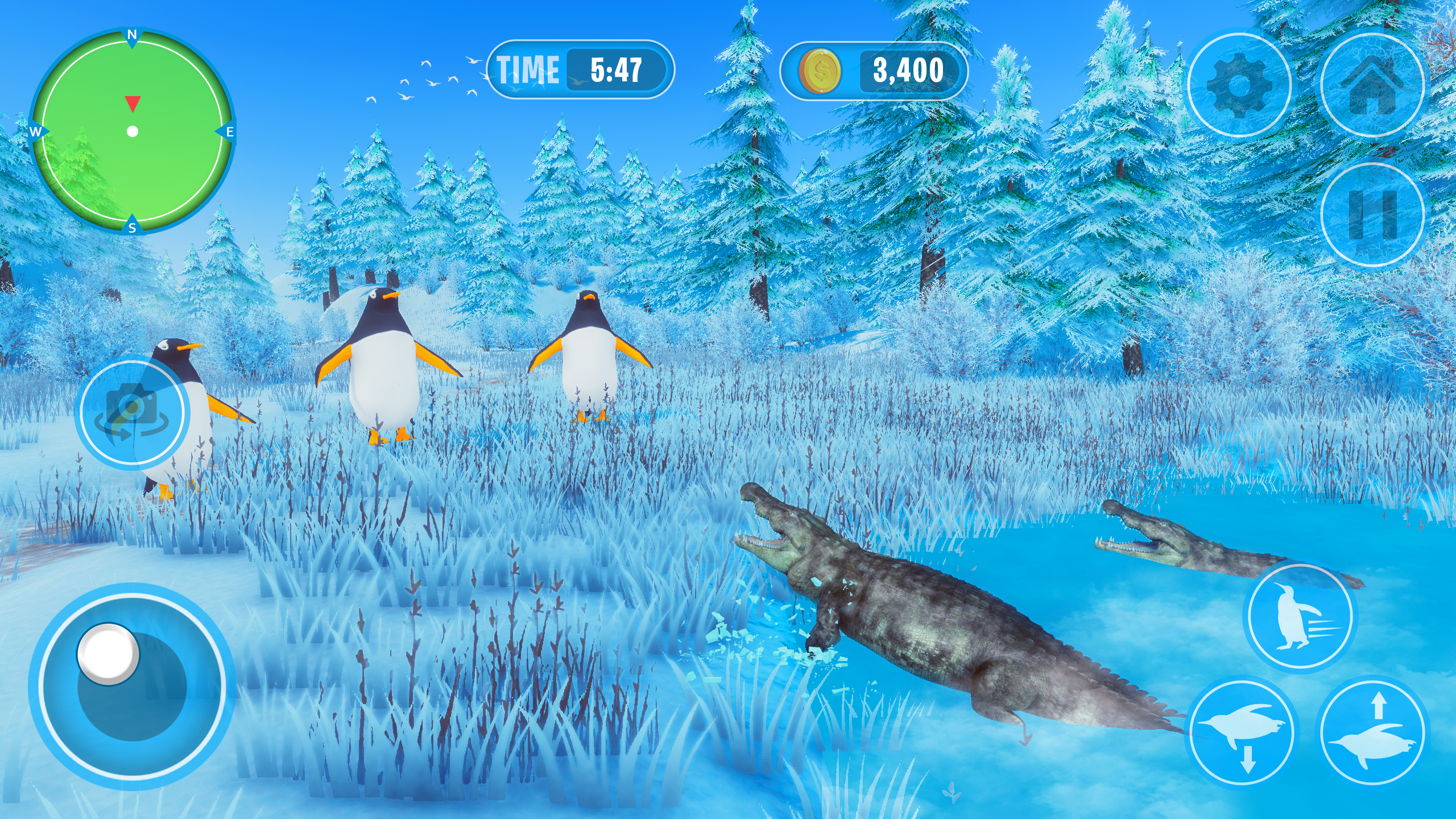 Arctic Penguin Bird Simulator android iOS-TapTap