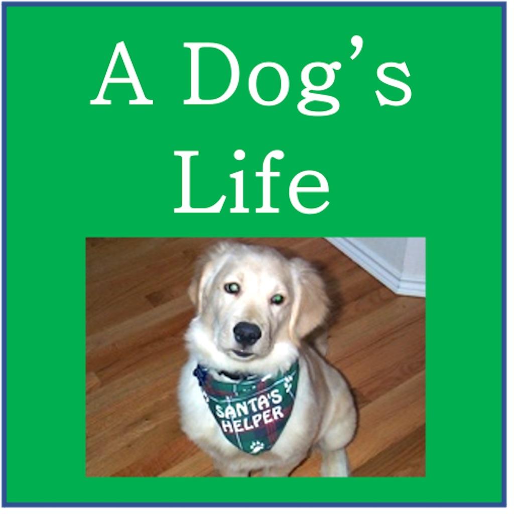 Dogs Life - Sudoku Latest Version for Android/iOS - TapTap