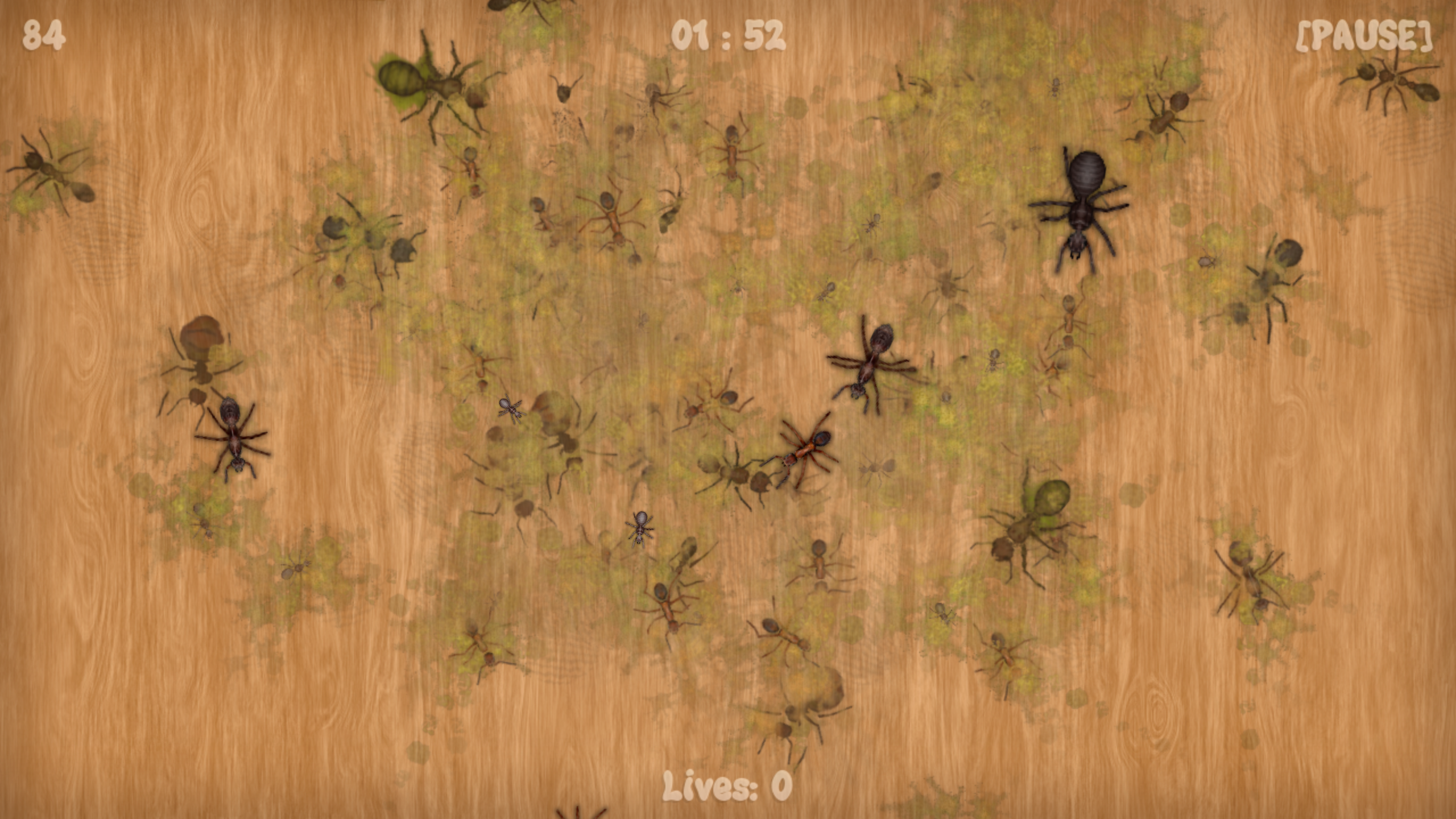 Ant Smasher - Bug Smash Mania android iOS apk download for free-TapTap