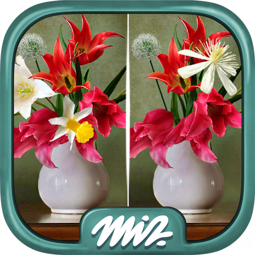Find the Difference Flowers Spot the Differences for Android/iOS