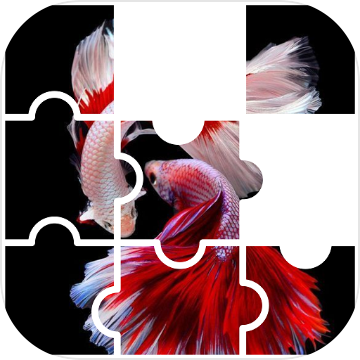 Betta Fish Game Puzzle Jigsaw mobile android iOS apk download for free ...